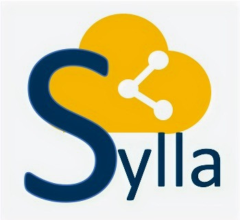 Salesforce Implementation Partner | Cloud Sylla