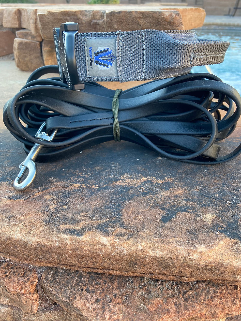 Tactical Dog Leashes | ValorWearUSA - Made in the USA