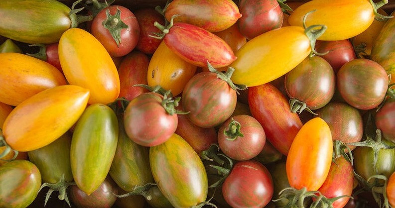 Vegetables | Honey Bee Gardens Farm