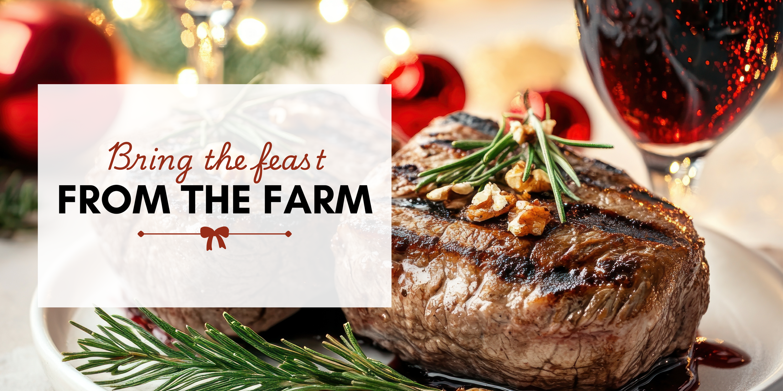 Walsh Cattle | Honey Bee Gardens Farm