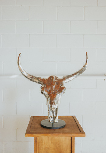Silver Longhorn | Stockroom Picks