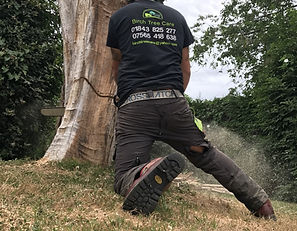 lightwoods tree surgery