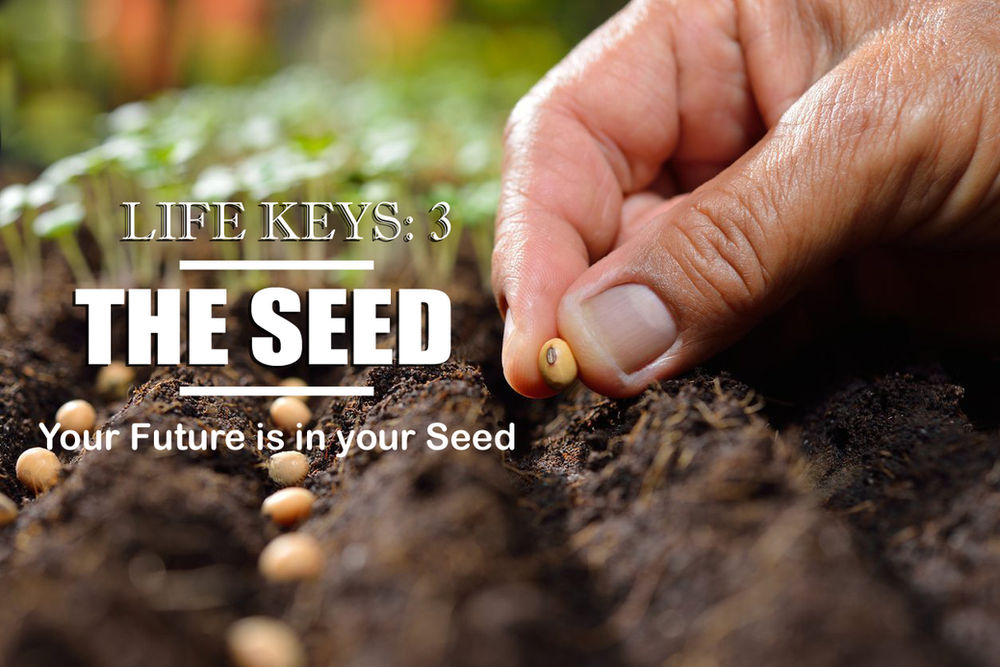 Life Key 3: The Seed. - YOUR FUTURE IS IN THE SEEDS YOU’VE SOWN | life ...
