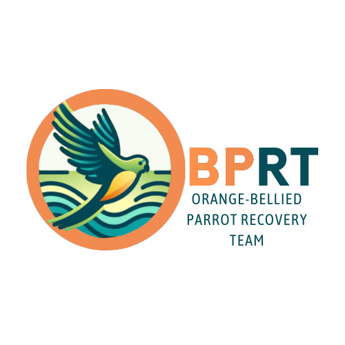 Get Involved | OBP Recovery Team