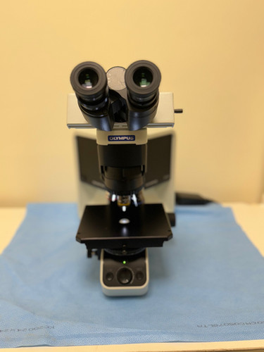 Olympus BX46 Compound microscope | Global Scientific