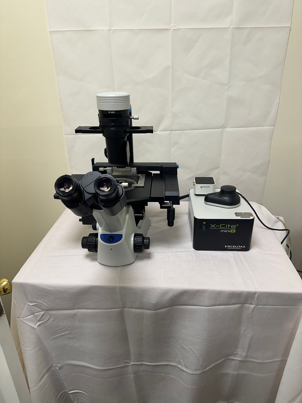 Olympus CKX53 Inverted fluorescent microscope | Global Scientific