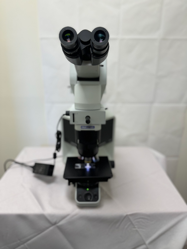 Olympus bx46 dual viewing microscope | Global Scientific
