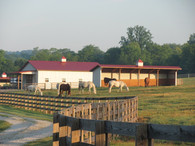 Paradigm Farms Horse Retirement | horse retirement farm | United States
