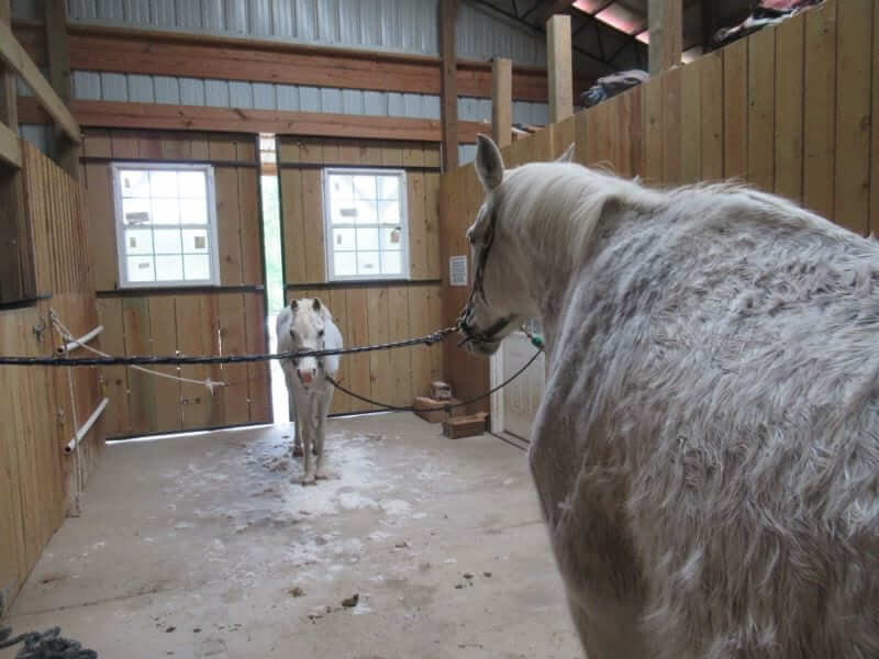 Marathon, Round 1, Complete