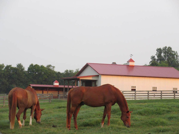Home | Paradigm Farms