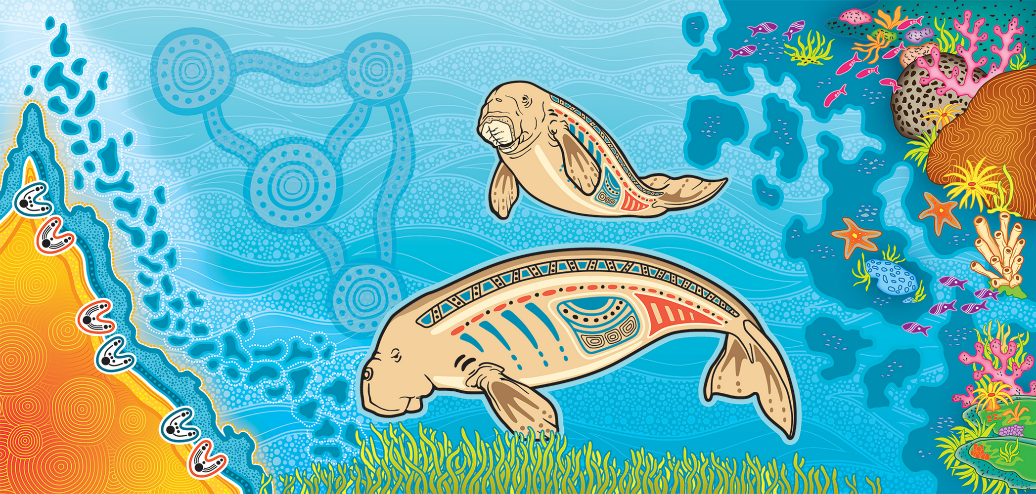 Dugong Connections