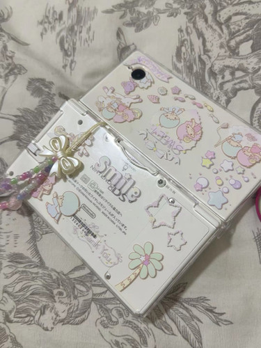 Kawaii 3ds 2ds xl Nds case cute 3ds case | Kawaiifanfans