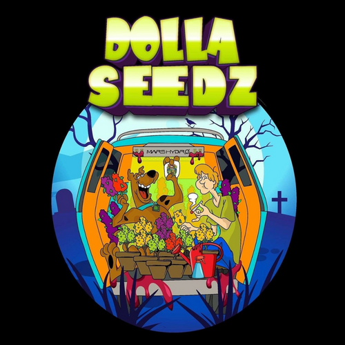 Stankadactyl (AKA Stankasaurus F3) 10pk regs | CandyJar Exotics