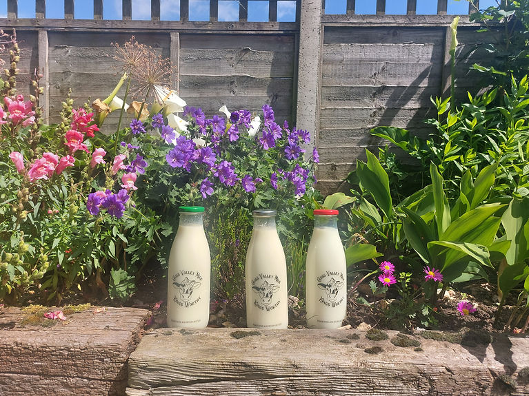 Local Milk Delivery | Cross Valley Milk | Winchester | Family Farm