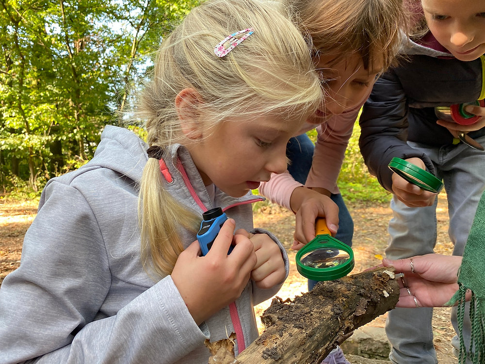 Projektabschluss in Sachsen-Anhalt