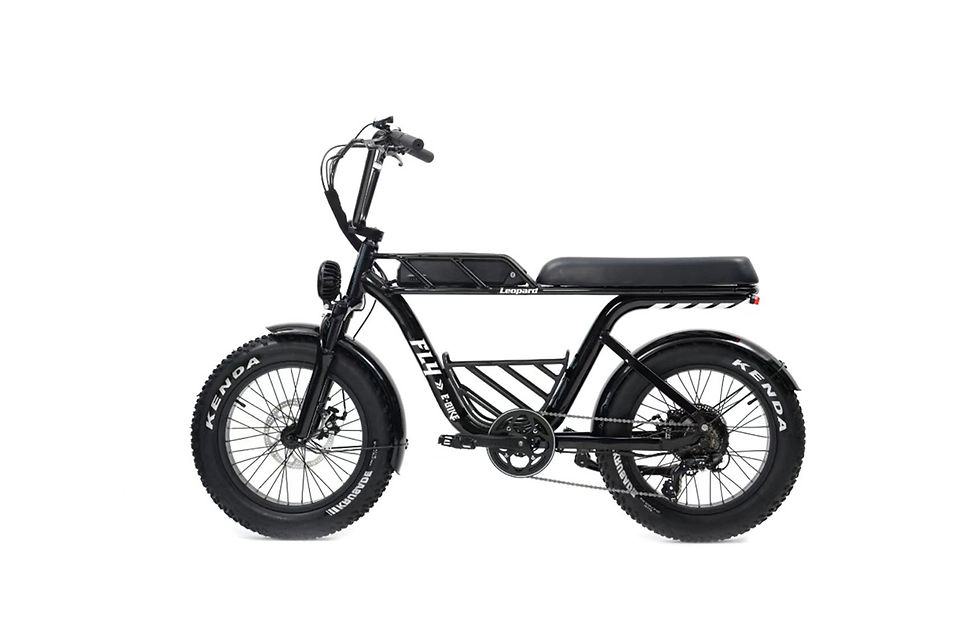 Electric Bicycles | FLY E-BIKE