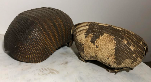 Armadillo Shells | zapprops