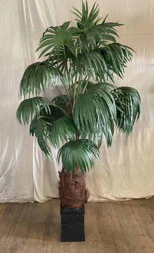 Fuzzy Palm Tree | zapprops