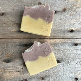All products | Carnation Soap Co.
