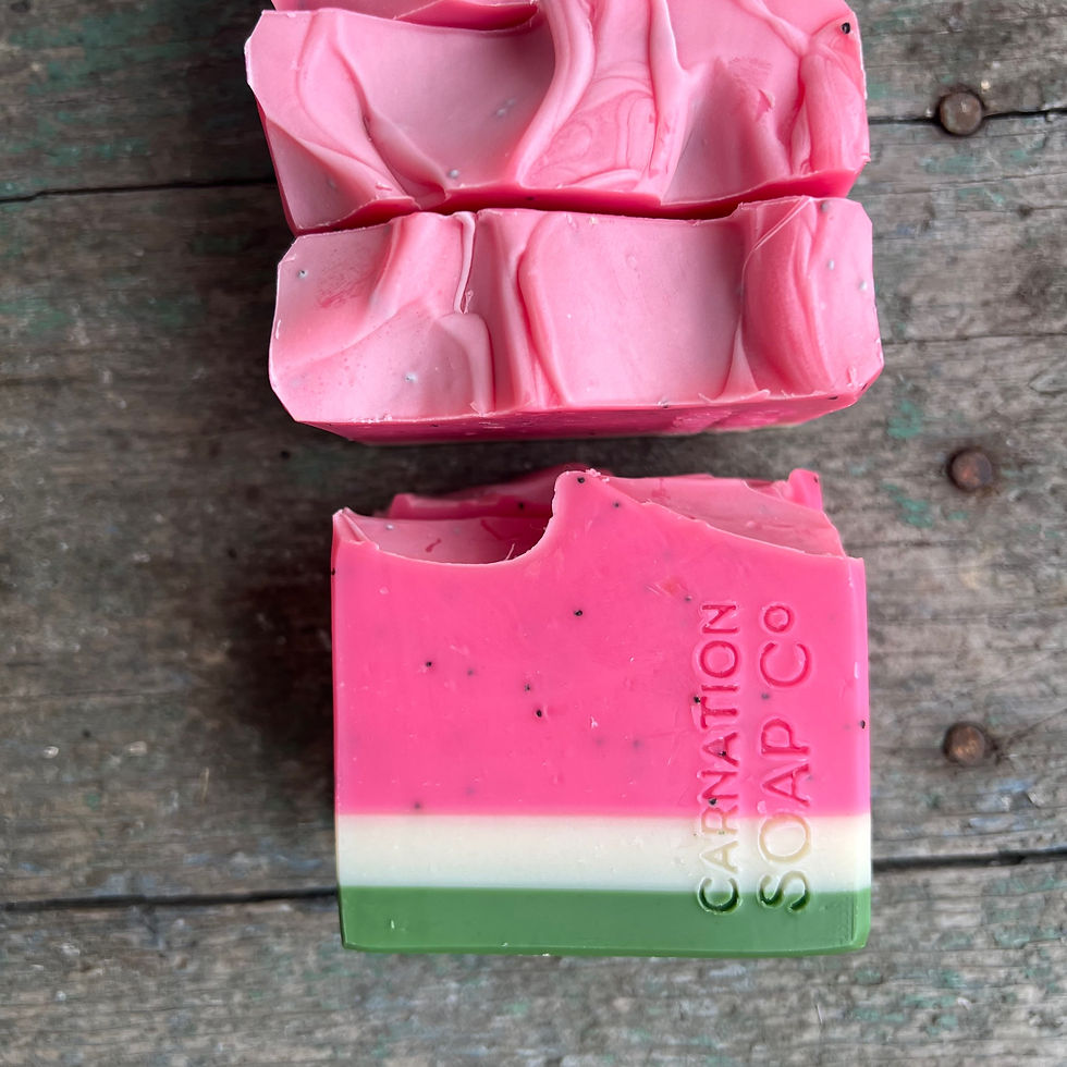 All products | Carnation Soap Co.