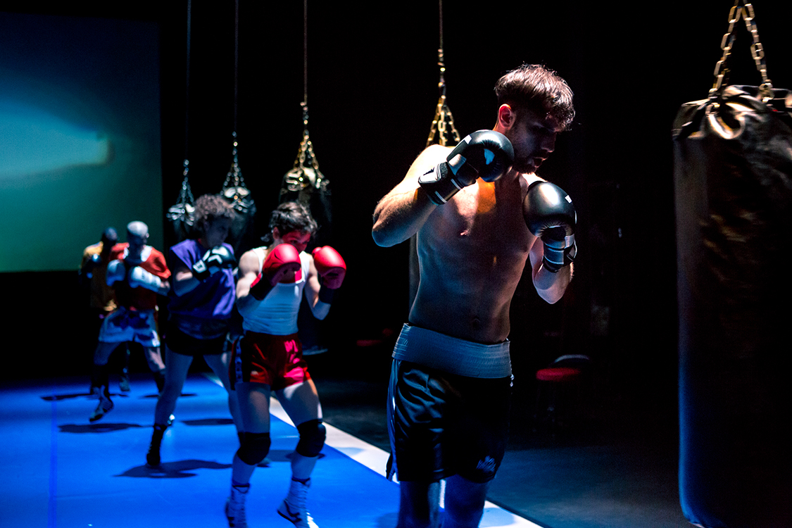 (B) Boxing Dance Project I Siamese cie