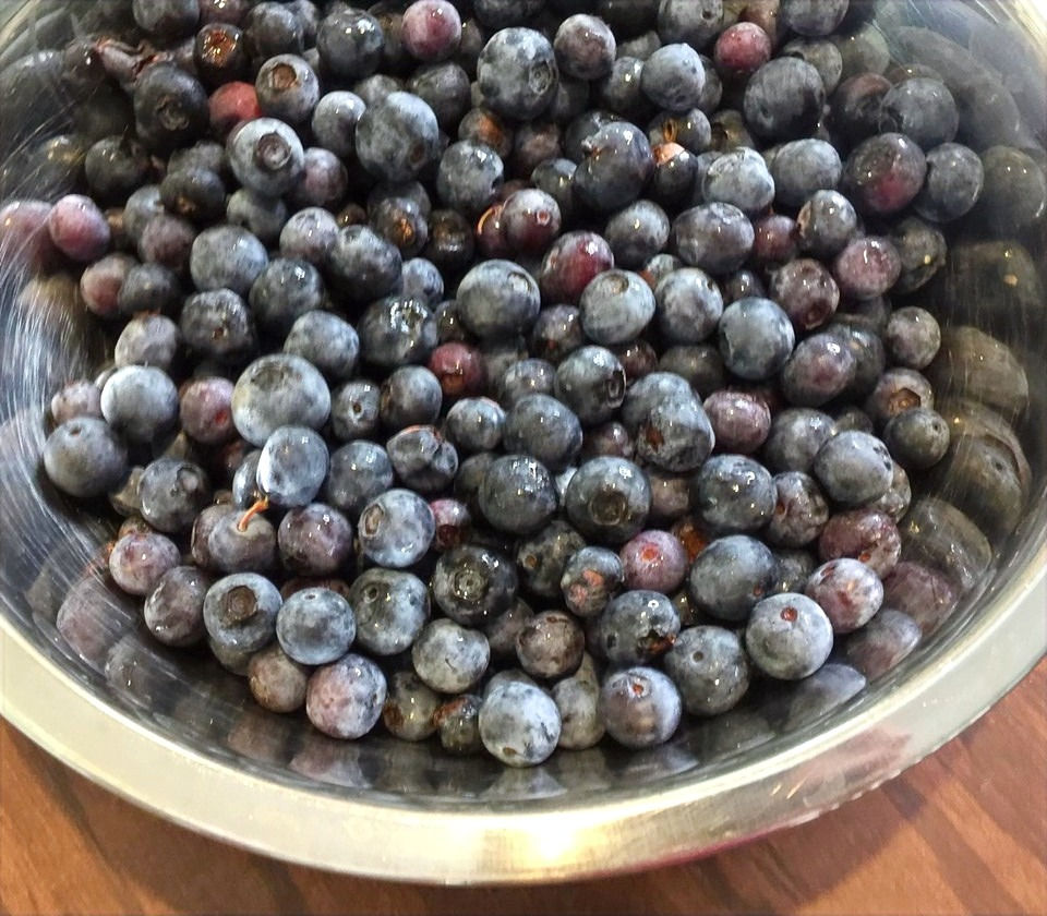 Blueberry Cobbler with Grammar Cracker Crust