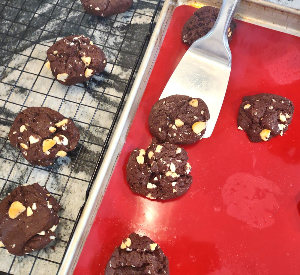 Johnny's Favorite Cookies. Cacao Fudge with Macadamia Nuts (VIDEO)