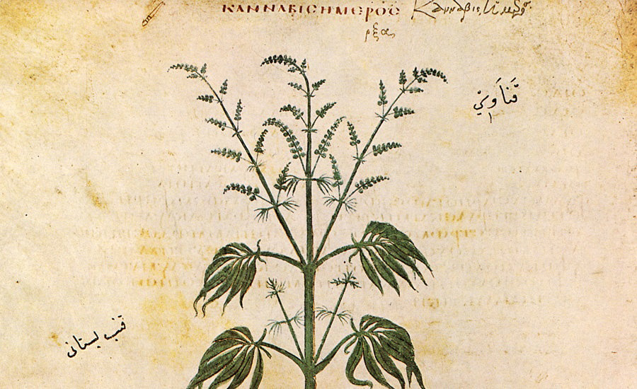 A Brief History of Hemp, Part 1