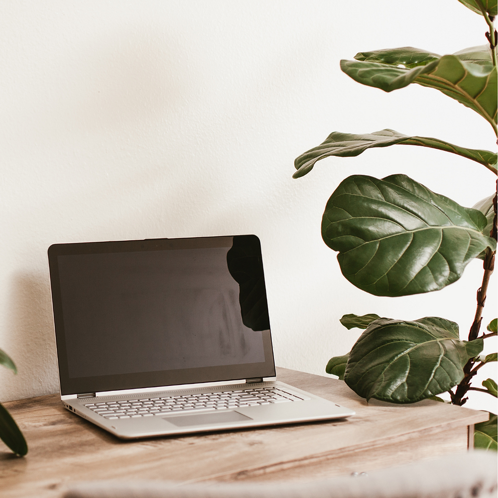 What happens after the book deal?