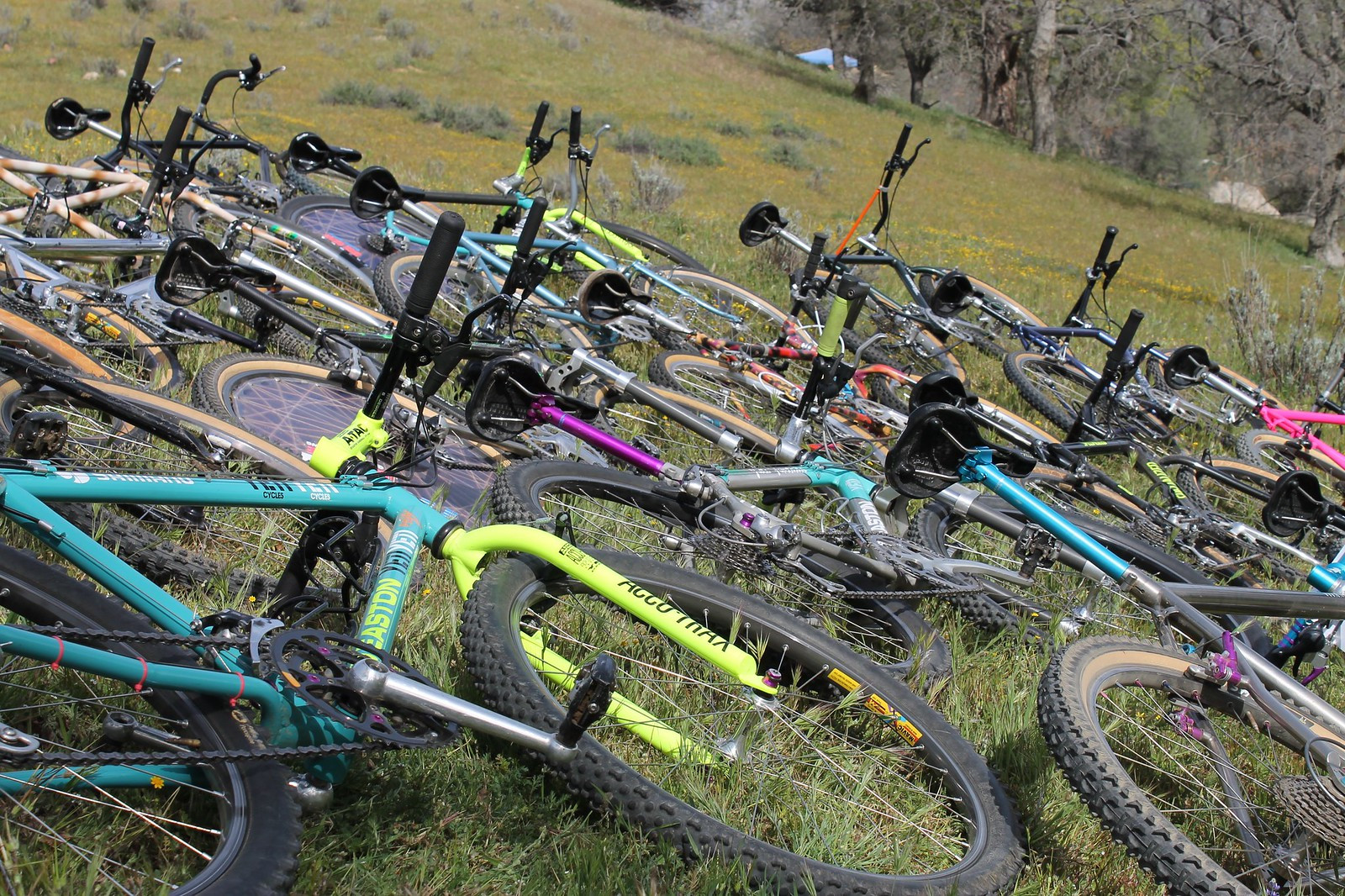 Home | The Vintage MTB