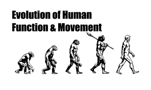 Evolution of Human Function&Movement | MoveFree!online