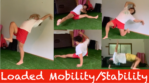 Loaded Mobility/Stability | MoveFree!online