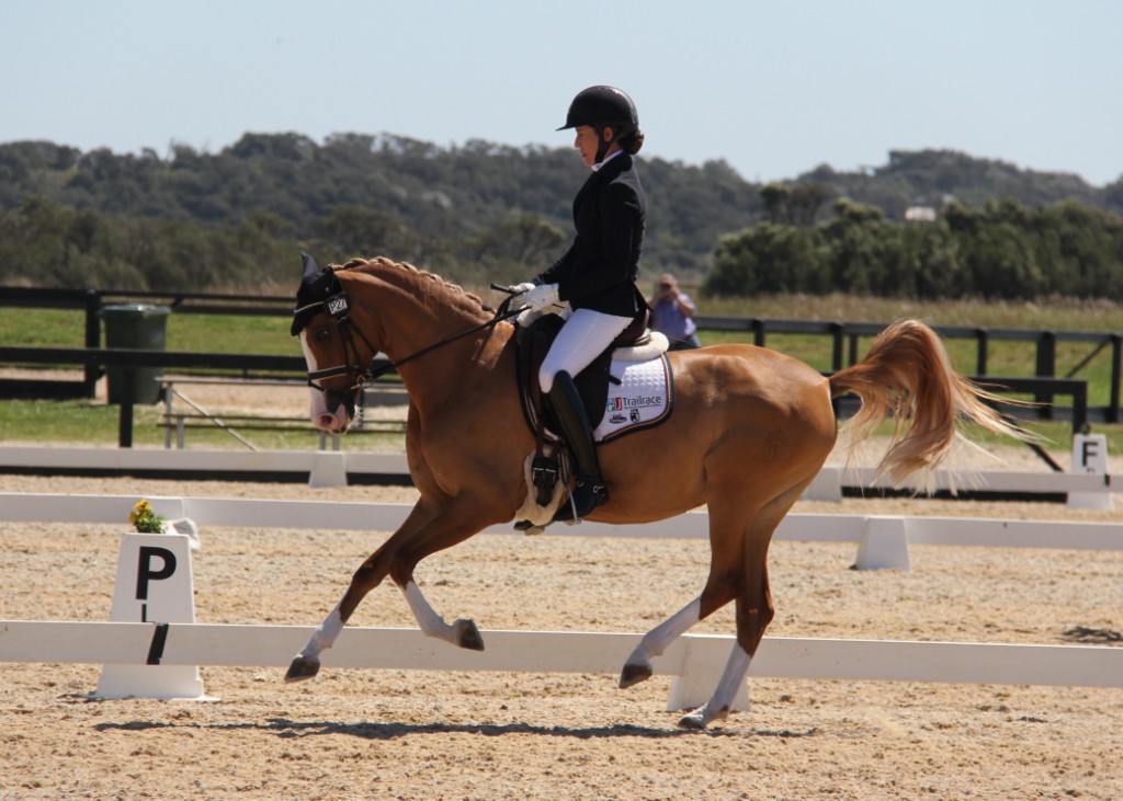 2017 Australian Dressage Championships