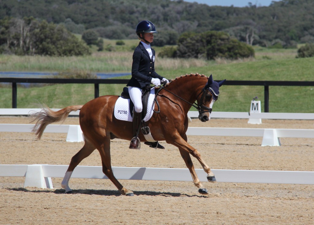 2017 Australian Dressage Championships