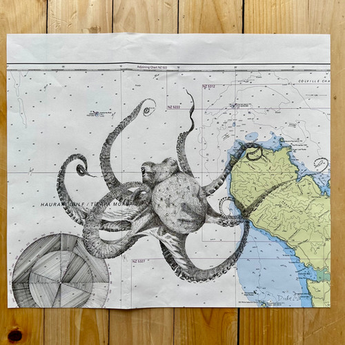 2023 Hauraki Gulf Octo | dickieartist