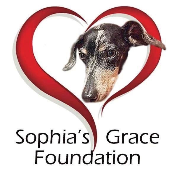 Available Dogs | sophiasgrace