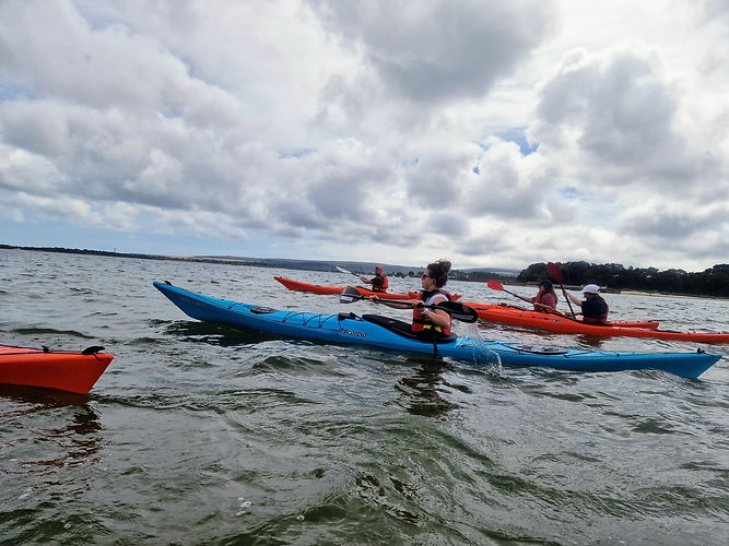 Discover Sea Kayaking | South Coast Adventures