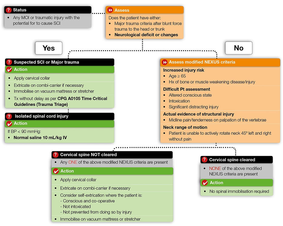 Spinal Injury | SAFR