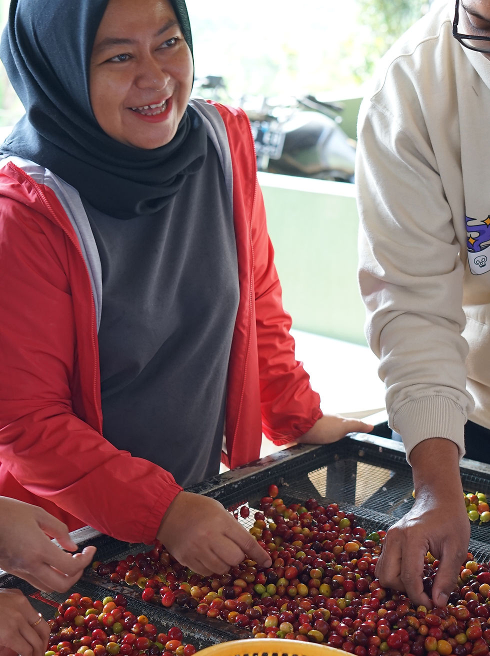 Single Origin Whole Bean Coffee | Palma Coffee Co.