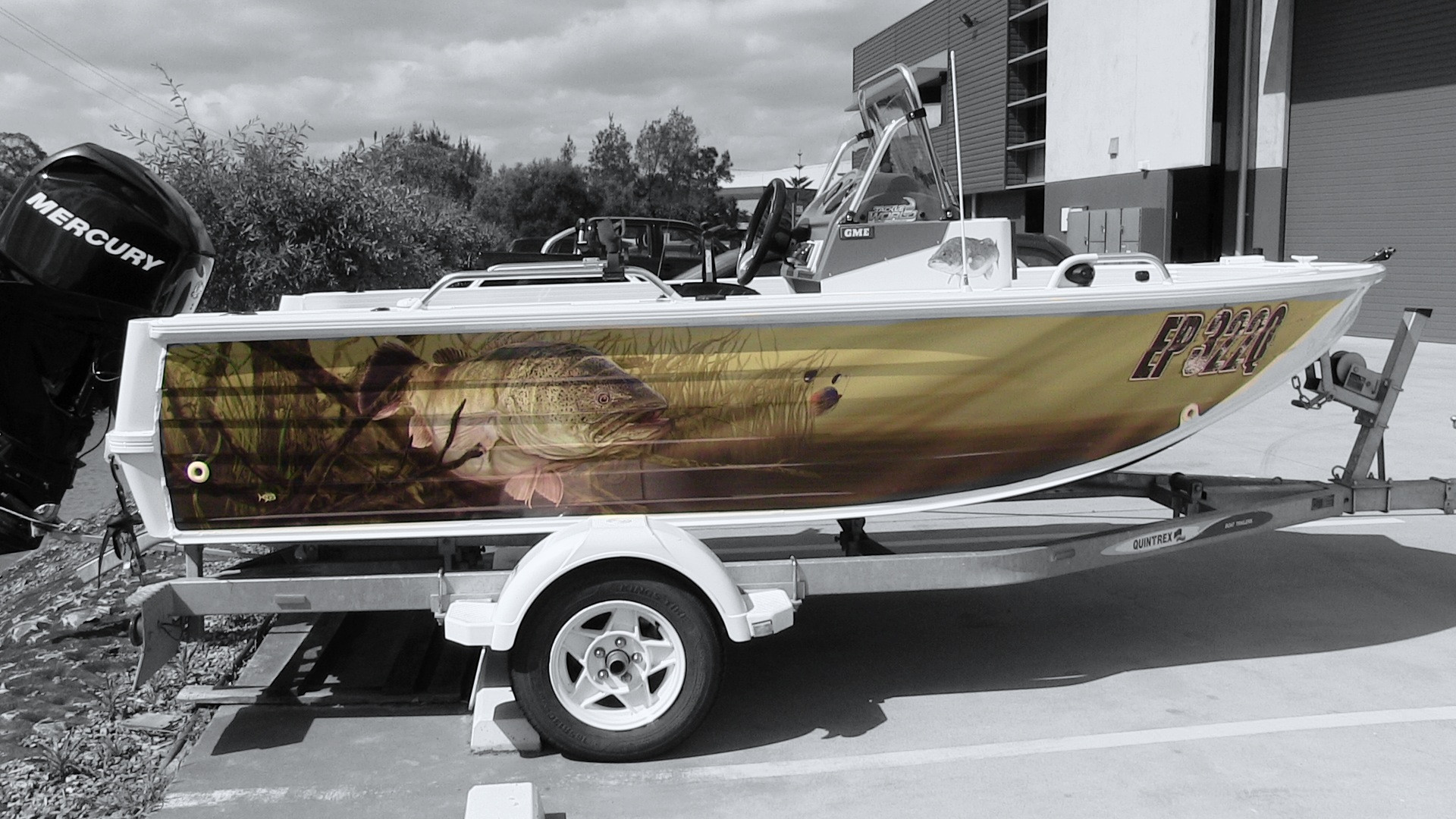 Tinnywraps | Tinny Wrap Designs | Tinny Wrap Colours | Tinny Wraps ...