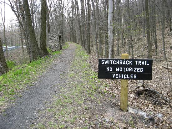 Activities in or near Jim Thorpe