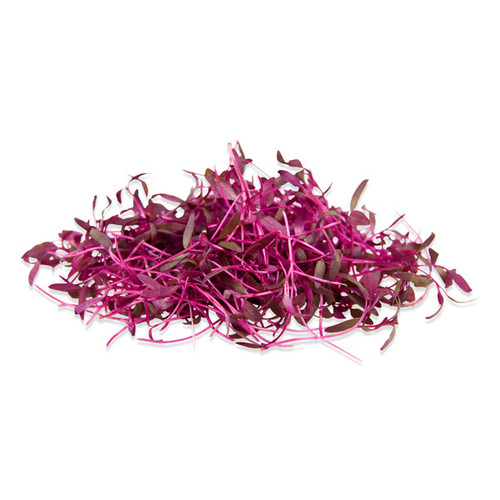 AMARANTH | Kd Power Greens