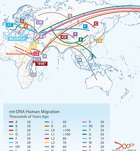 mtDNA | ClanForbesSociety