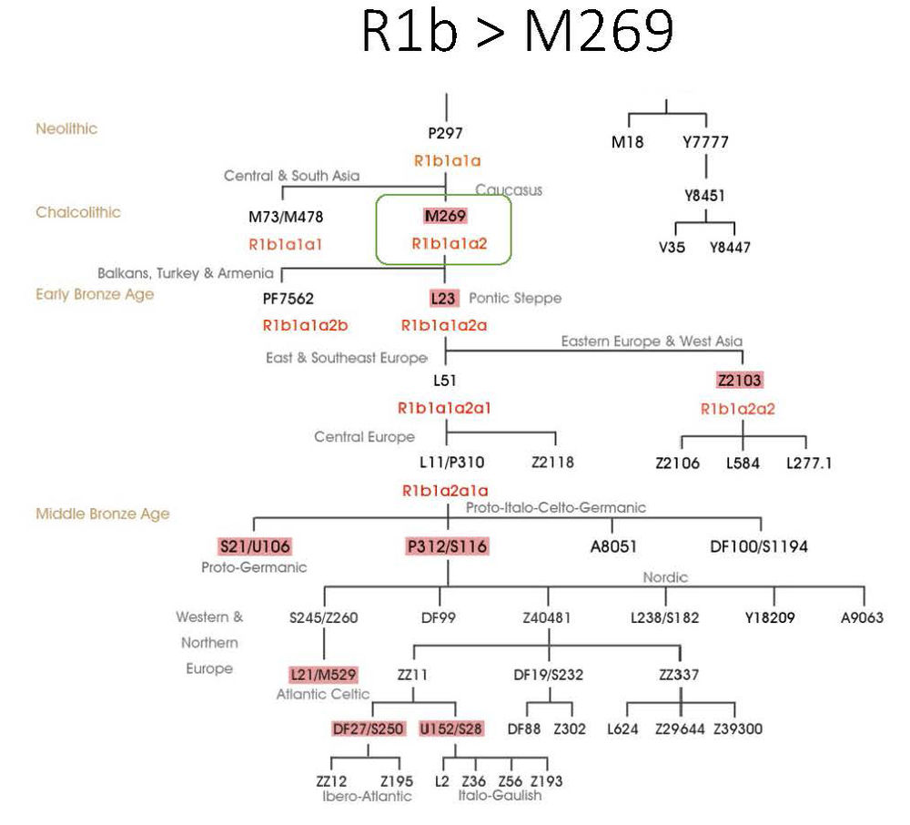 Clan Chief Y-DNA Origins and Variations