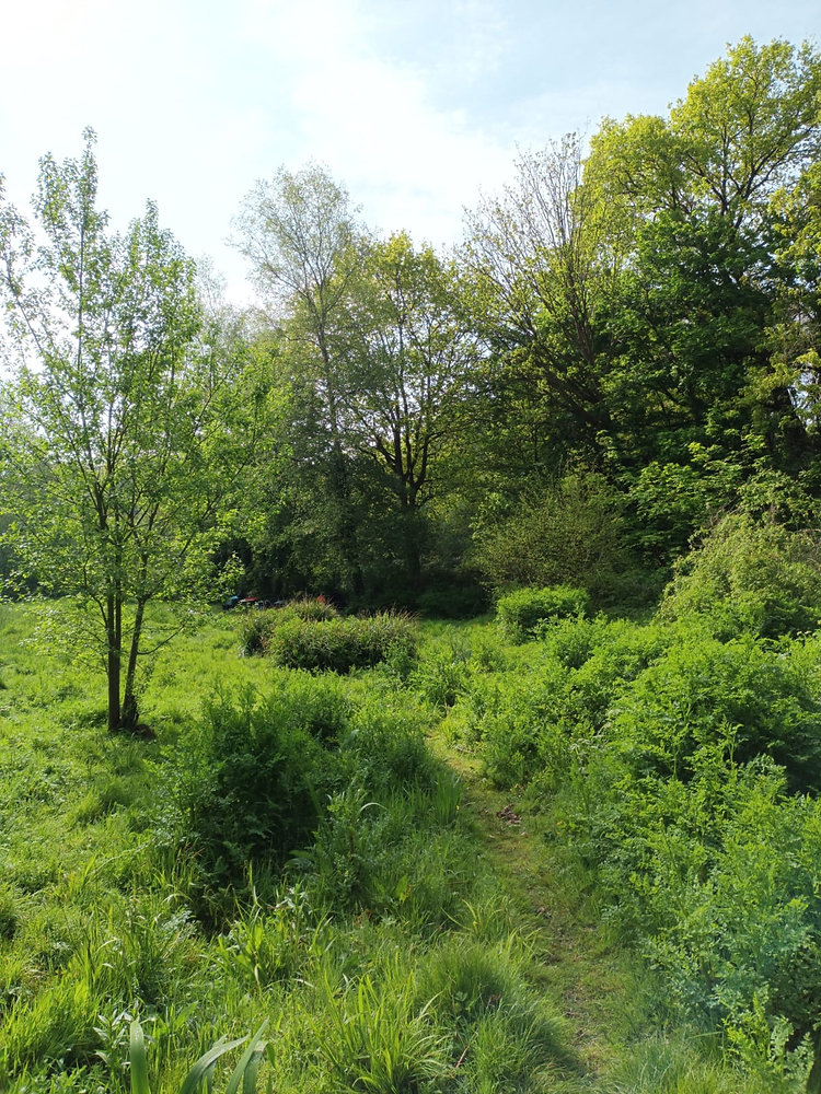 Celebrating ten years of Without Walls® Course