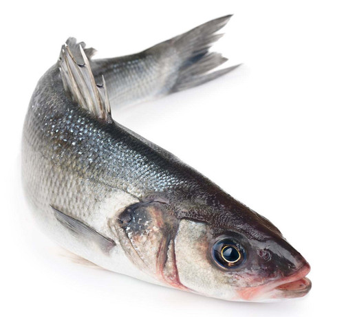 Sea Bass Whole Cleaned | Al Marsa Gourmet