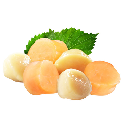 Japanese Scallops "Hokkaido Hotate" 1kg | Al Marsa Gourmet
