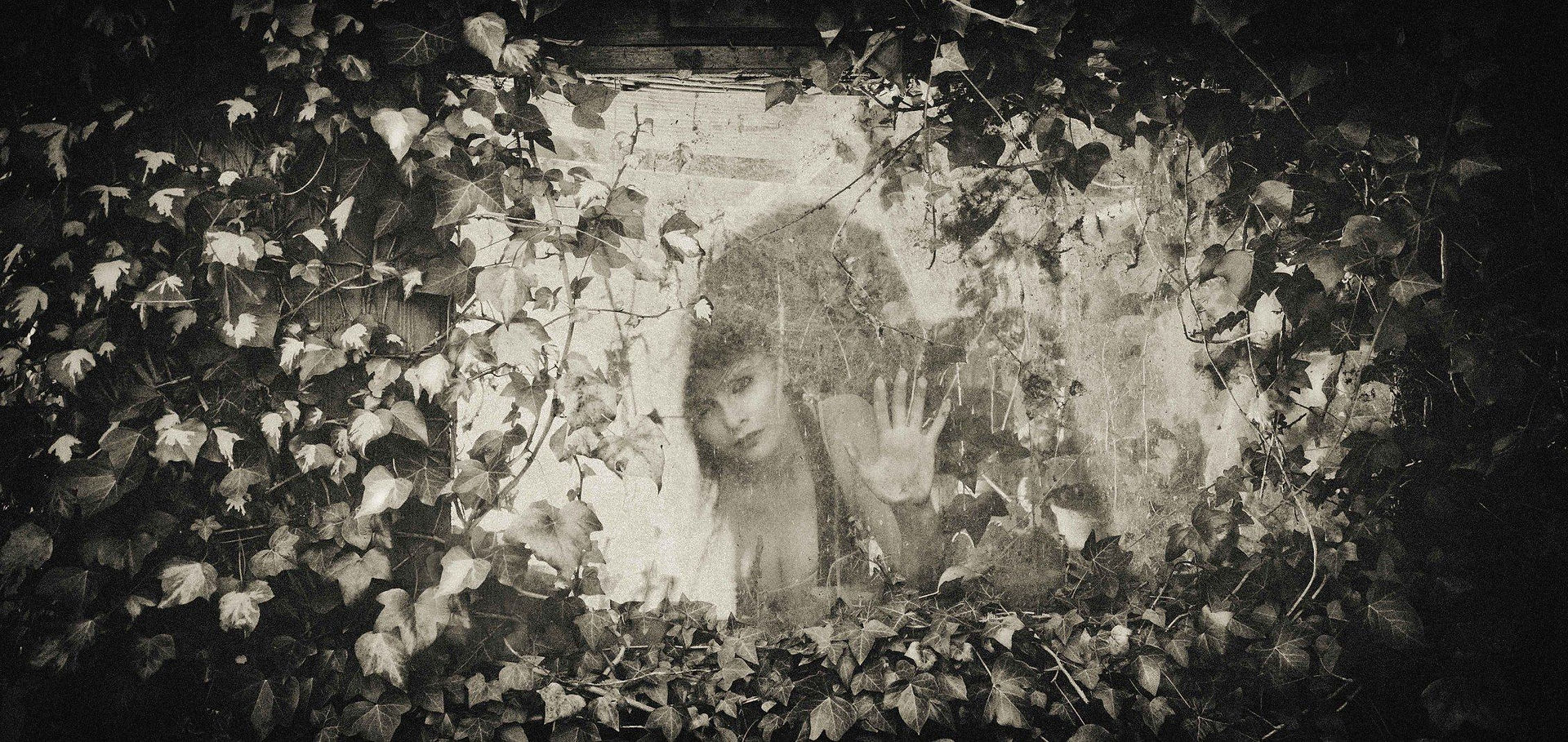 Secret Garden | model