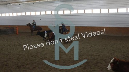 Sorting Clip 1 | Sterling Photography