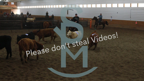 Sorting Clip 2 | Sterling Photography